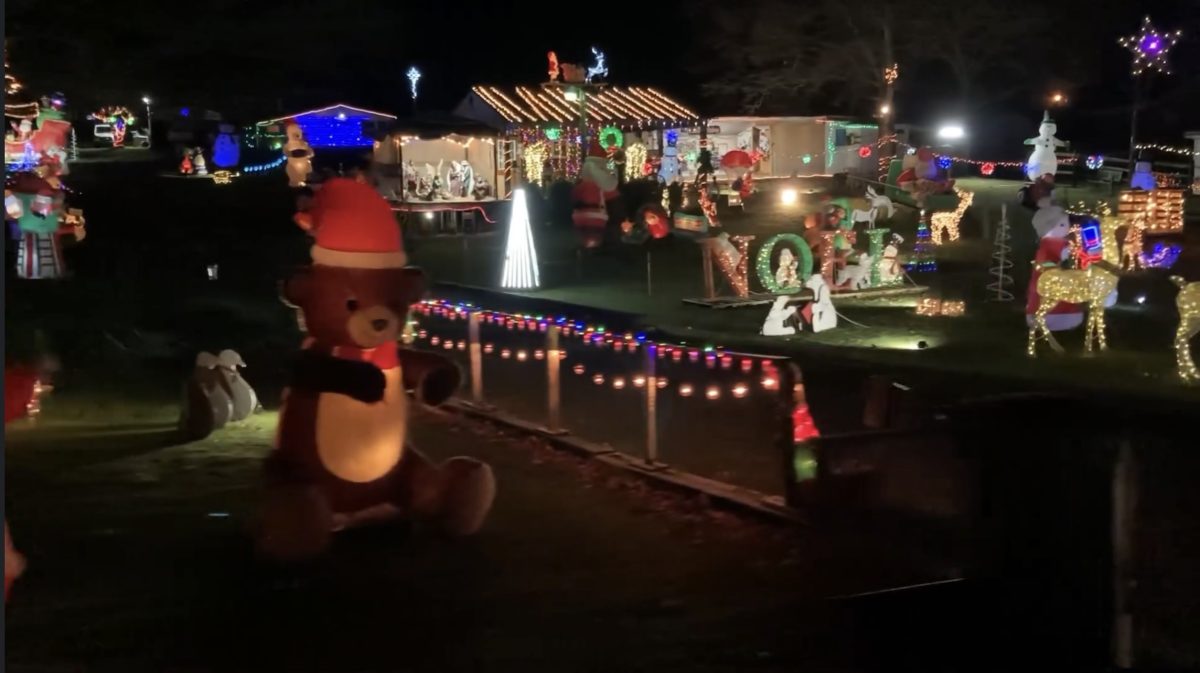 Oh, Christmas house: Couple lights up Bayne Avenue for last holiday ...